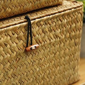 FEILANDUO Shelf Baskets with Lids Set of 3 for Home Decor Seagrass Storage Baskets Wicker Rattan Woven Rectangular Organizer Boxes ((Large) S/M/L, Original)