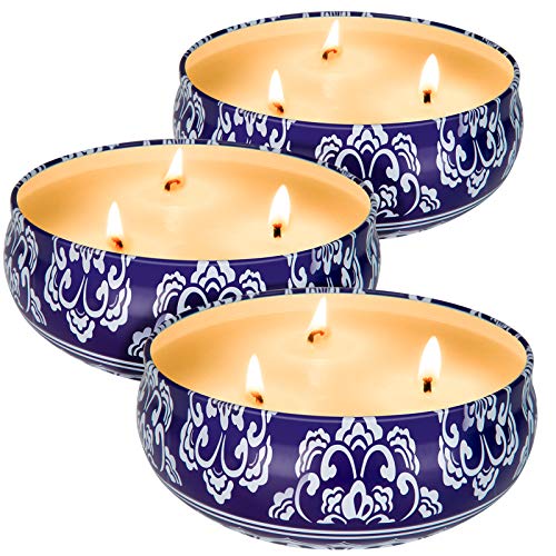 Citronella Candles Outdoor and Indoor 3 x 13.5 Oz,3 Wick Scented Candles Gift Set,Aromatherapy Candles Natural Soy Wax Candle in Portable Travel Tin 3 Pack