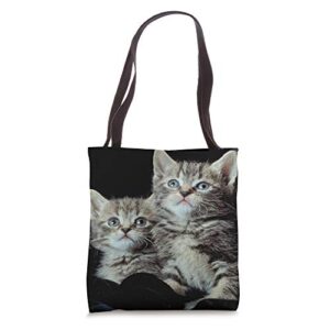 two cute kittens tiger cats photo tote bag