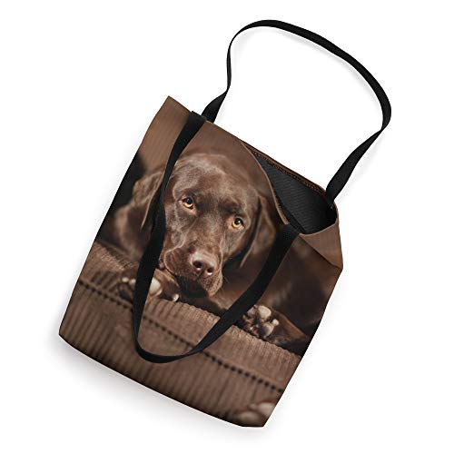 Sleepy Chocolate Lab Labrador Retriever Tote Bag