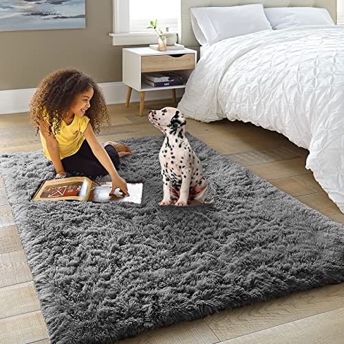 Ophanie Machine Washable 3 x 5 Feet Rugs for Bedroom, Fluffy Shaggy Bedside Floor Dorm Grey Area Rug, Soft Gray Fuzzy Non-Slip Indoor Room Carpet for Kids Boys Girls Teen Home Decor Aesthetic, Nursery