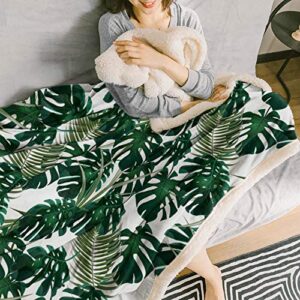 Sherpa Fleece Blanket Thick Tropical Leaves Monstera Bed Blanket Soft Cozy Luxury Blanket 40"x50" - Fuzzy Thick Reversible Super Warm Fluffy Plush Microfiber Throw Blanket for Couch