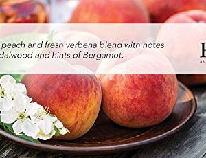 Root Candles Scented Tealights Beeswax Blend 4-Hour Tealight Candles, 8-Count, Peach Blossom