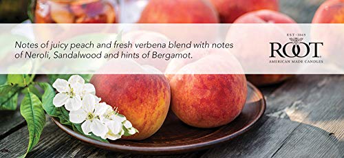 Root Candles Scented Tealights Beeswax Blend 4-Hour Tealight Candles, 8-Count, Peach Blossom