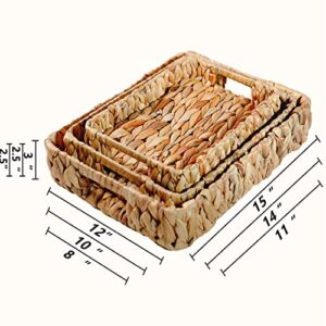 NEWQI Set of 3 Different Sizes Water Hyacinth Storage Baskets with Handles,Rectangular Rattan Woven Serving Tray， Large and Small Woven Wicker Baskets for Storage Organizing,Perfect for Open Shelving