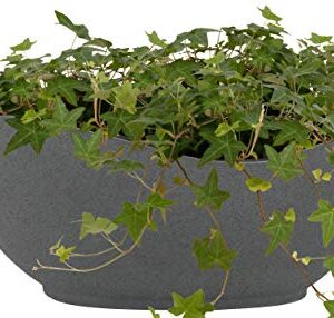 Classic Home and Garden Arc Pot 12" - Concrete