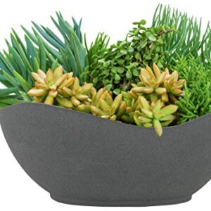 Classic Home and Garden Arc Pot 12" - Concrete