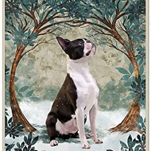 French Fighting Dog Metal Tin Sign,Who Really Loved Boston Terriers Retro Poster Garage Kitchen Wall Plaque Home Decor Cafe Bar Pub Beer Club Poster Painting 8x12 inch