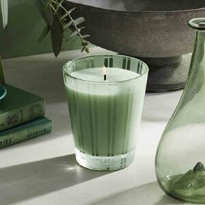 NEST New York Wild Mint & Eucalyptus Scented Classic Candle