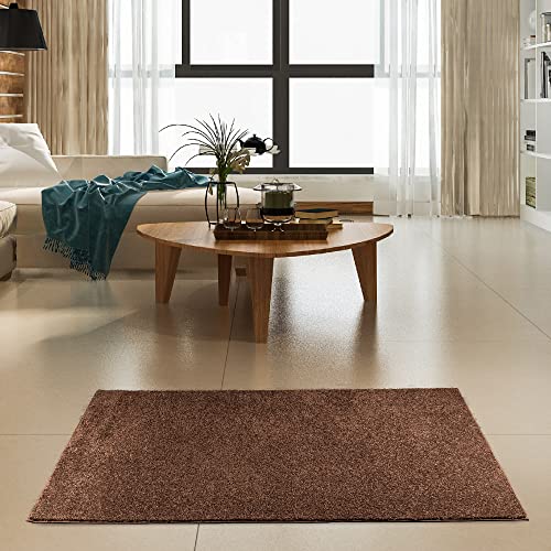 Furnish my Place Modern Plush Solid Color Rug - Brown, 3' x 4', Pet and Kids Friendly Rug. Made in USA, Rectangle, Area Rugs Great for Kids, Pets, Event, Wedding