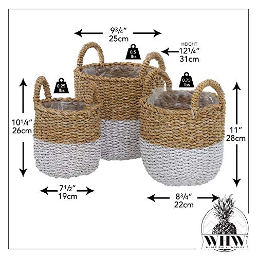 Plastic Lined Seagrass Baskets, Set of 3, Paint Dipped in Coastal White, Chunky Weave, Rustic, Natural, Barrel Belly, Top Handles, 10.25, 11, and 12.25 Inches T