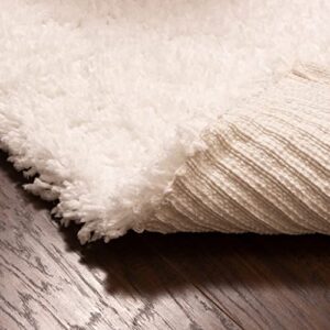 Super Area Rugs Fluffy & Soft 2-Inch Shag Accent Rug for Living Room - Bedroom Non Skid, Snow White, 2' x 3' Mat