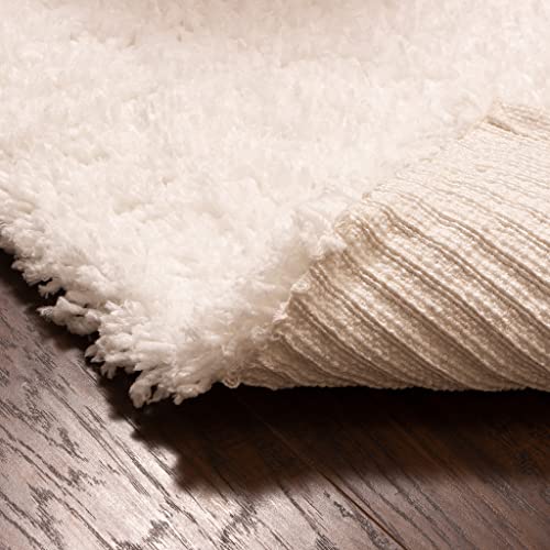 Super Area Rugs Fluffy & Soft 2-Inch Shag Accent Rug for Living Room - Bedroom Non Skid, Snow White, 2' x 3' Mat