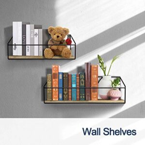 PETAFLOP Wall Shelves Bundle