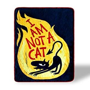 JUST FUNKY Disenchantment Luci The Demon Large Fleece Throw Blanket | Decorative Throw Blanket | Official Disenchantment Collectible Throw Blanket | Measures 60 x 45 Inches