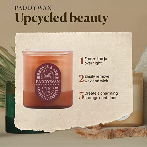 Paddywax Candles VS1003 Vista Collection Scented Candle, 12-Ounce, Redwoods & Amber, 12 Ounces