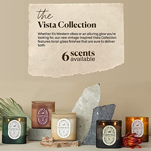 Paddywax Candles VS1003 Vista Collection Scented Candle, 12-Ounce, Redwoods & Amber, 12 Ounces