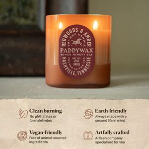 Paddywax Candles VS1003 Vista Collection Scented Candle, 12-Ounce, Redwoods & Amber, 12 Ounces