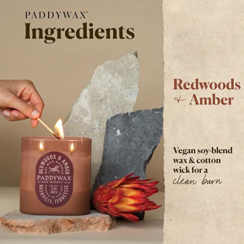 Paddywax Candles VS1003 Vista Collection Scented Candle, 12-Ounce, Redwoods & Amber, 12 Ounces