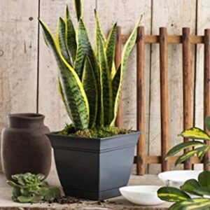 The HC Companies 8 Inch Eclipse Square Planter with Saucer - Indoor Outdoor Plant Pot for Flowers, Vegetables, and Herbs, Slate Blue