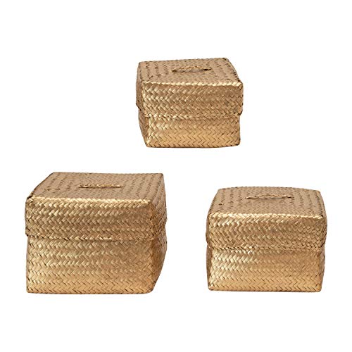 Creative Co-Op Hand-Woven Seagrass Baskets with Lids, Gold Color, Set of 3 Storage Box, 3