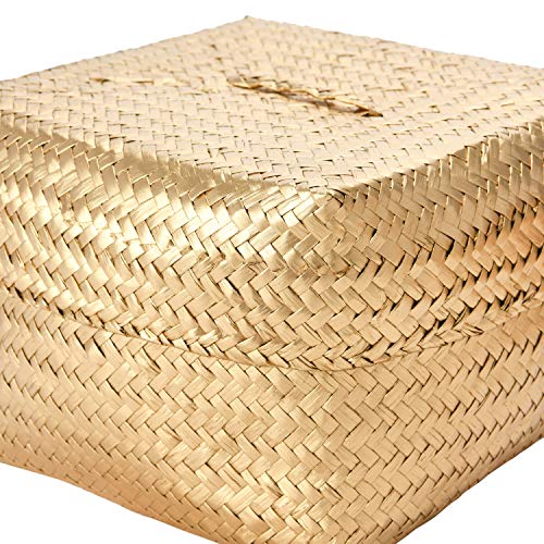 Creative Co-Op Hand-Woven Seagrass Baskets with Lids, Gold Color, Set of 3 Storage Box, 3