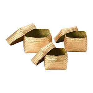 Creative Co-Op Hand-Woven Seagrass Baskets with Lids, Gold Color, Set of 3 Storage Box, 3