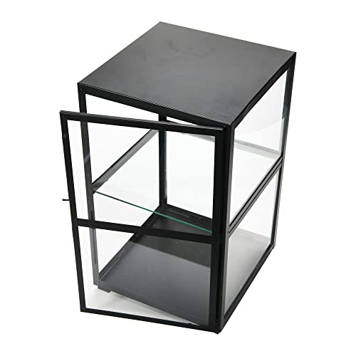 Creative Co-Op Metal & Glass Display 1 Shelf, Black Cabinet