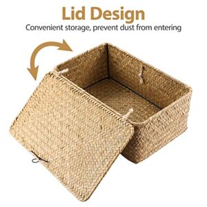 IMIKEYA Woven Storage Box Wicker Storage Bins with Lid Seagrass Basket Desktop Hand- Woven Box for Home Office Shelf Organizer