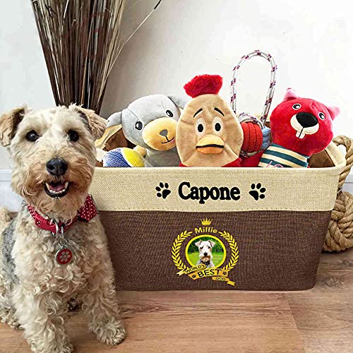 Custom Name Collapsible Dog Toy Storage Basket Bin World's Best Dog Cavalier King Charles Spaniel Pup Foldable Pet Toy Box Closet Shelf Baskets Organizer for Bedroom Home Dog Cat with Handles Gray