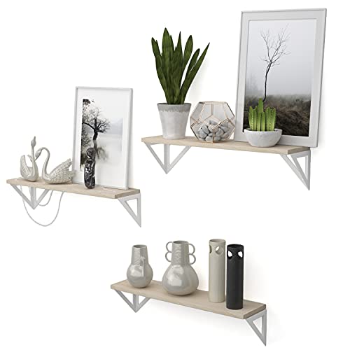 Wallniture Minori Floating Shelves for Wall Storage, Floating Bookshelf Set of 3 for Living Room Decor, 24"x6" Natural Wood Wall Shelves with White Brackets