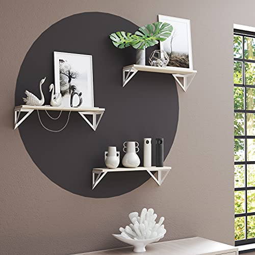 Wallniture Minori Floating Shelves for Wall Storage, Floating Bookshelf Set of 3 for Living Room Decor, 24"x6" Natural Wood Wall Shelves with White Brackets