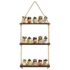 mukkum window plant hanging shelves 3 tier window wall hanging shelf for plant photo frames decorations display decor for window kitchen bathroom bedroom(rustic brown)