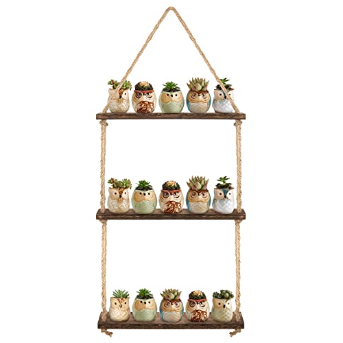 Mukkum Window Plant Hanging Shelves 3 Tier Window Wall Hanging Shelf for Plant Photo Frames Decorations Display Decor for Window Kitchen Bathroom Bedroom(Rustic Brown)