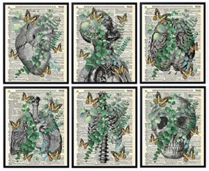 anatomy with eucalyptus and butterflies, vintage dictionary art print, modern contemporary wall art for home decor, boho art print poster, farmhouse wall decor 8×10 inches, unframed (6 piece set)