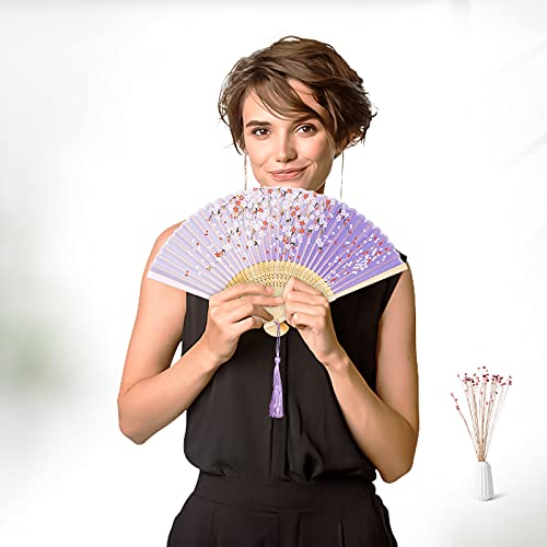 iPihsius Folding Fan, Slik Folding Hand fan with First Layer Bamboo, with Storage Bag, 2Pcs Tassels, For Cooling, Performances, Decorations, Gifts, Classic Ink Plum Gradient Violet