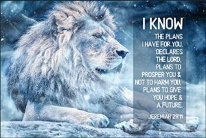 jeremiah 29 prayer mat – easypray soft memory foam – i know the plans i have for you lion of judah bible verse christian prayer mat (60x90cm)