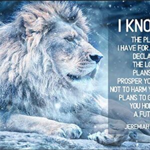 Jeremiah 29 Prayer Mat – EasyPray Soft Memory Foam - I Know The Plans I Have for You Lion of Judah Bible Verse Christian Prayer Mat (60x90cm)