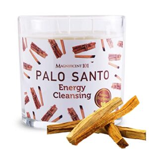 magnificent 101 palo santo glass candle 14oz