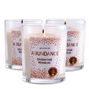 magnificent 101 abundance set of 3 candles