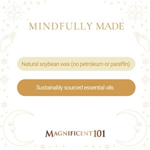 Magnificent 101 Abundance Set of 3 Candles