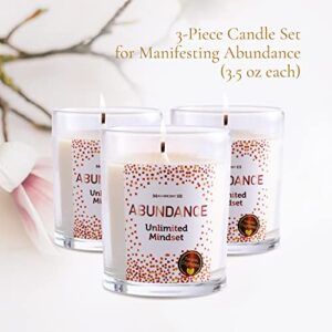 Magnificent 101 Abundance Set of 3 Candles