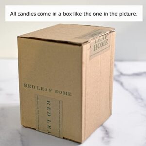 Red Leaf Home | Alpine Lake Candle | Large | Aromatherapy | Wooden Wick Collection | 14oz Jar