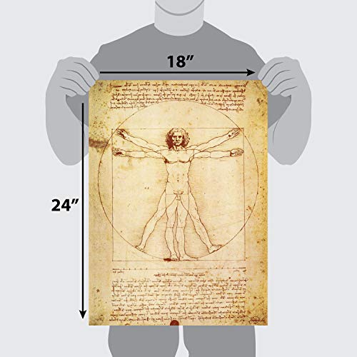 3 Pack - Vitruvian Man by Leonardo Da Vinci + The Old Guitarist by Pablo Picasso + Van Gogh Skeleton Poster - Fine Art Prints (Laminated, 18" x 24")