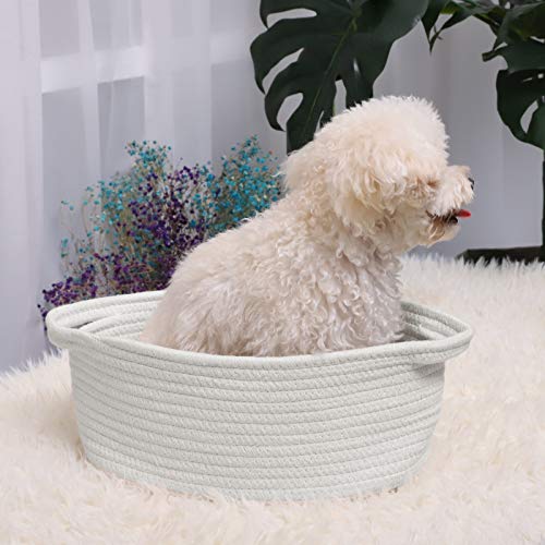 ABenkle Small Woven Basket, 12"x 8" x 5" Cute Small Basket, Rope Room Shelf Storage Basket, Cat Dog Toys Basket Chest Box, Empty Decorative Gift Basket with Handles - White