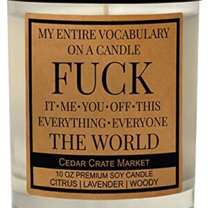 Funny Candles - Funny Gifts for Women, Best Friend, Friend Gifts, BFF Gifts, Friendship, Gifts for Her, Him, Gifts for Men, Boss, Coworker Gifts, Fun Birthday Gifts, Christmas, Hand Poured in USA