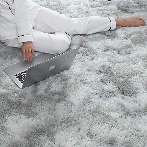 5x8 Light Grey Area Rugs Modern Home Decorate Soft Fluffy Carpets for Living Room Bedroom Kids Room Fuzzy Plush Non-Slip Floor Area Rug Fluffy Indoor Carpet