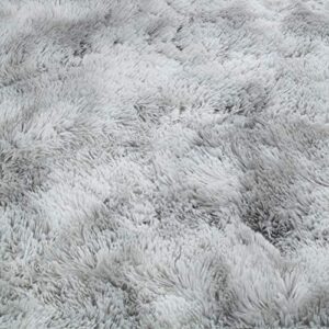 5x8 Light Grey Area Rugs Modern Home Decorate Soft Fluffy Carpets for Living Room Bedroom Kids Room Fuzzy Plush Non-Slip Floor Area Rug Fluffy Indoor Carpet