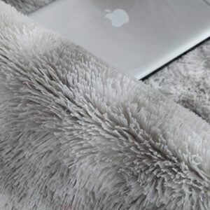 5x8 Light Grey Area Rugs Modern Home Decorate Soft Fluffy Carpets for Living Room Bedroom Kids Room Fuzzy Plush Non-Slip Floor Area Rug Fluffy Indoor Carpet