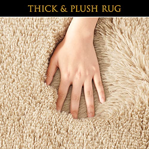 Pacapet Fluffy Area Rugs, Beige Shag Rug for Bedroom, Plush Furry Rugs for Living Room, Fuzzy Carpet for Kid's Room, Nursery, Home Decor, 3 x 5 Feet